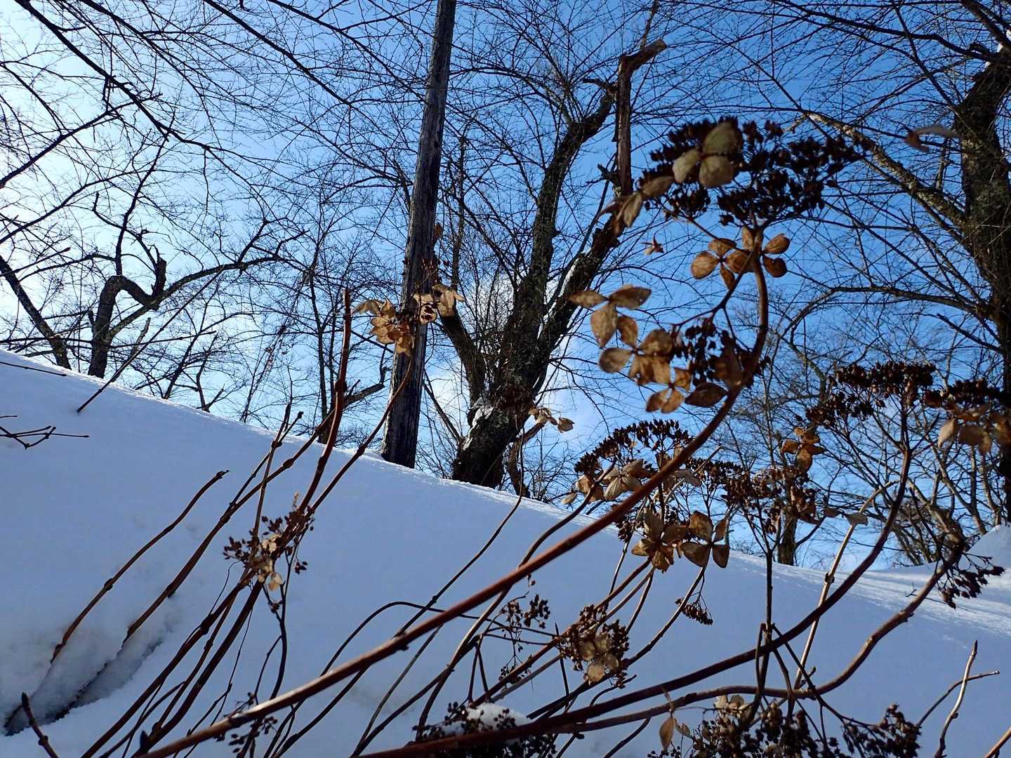八乙女公園 / くろごまさんのウォーキングの活動データ | YAMAP / ヤマップ