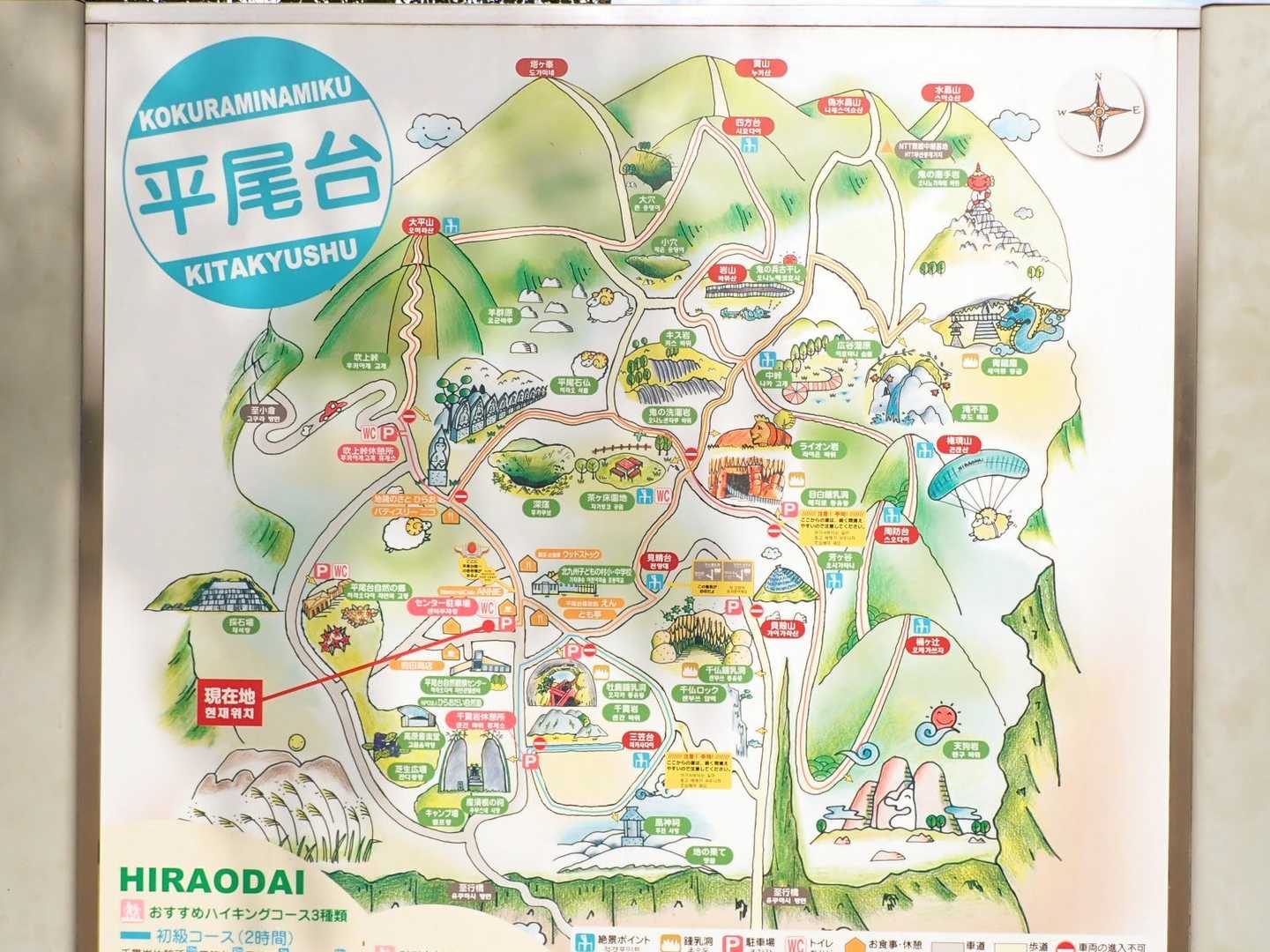 広谷湿原/平尾台 / コーラルさんの平尾台・貫山・水晶山の活動データ | YAMAP / ヤマップ