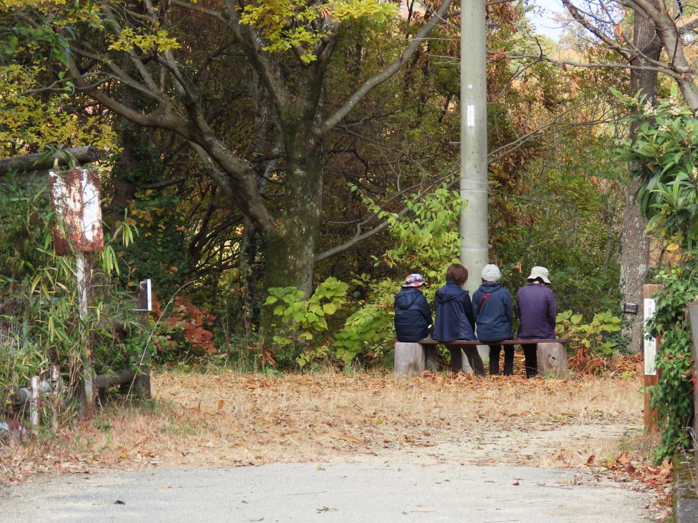 国見山から白旗池へ / HIROさんさんの交野山・国見山の活動データ | YAMAP / ヤマップ