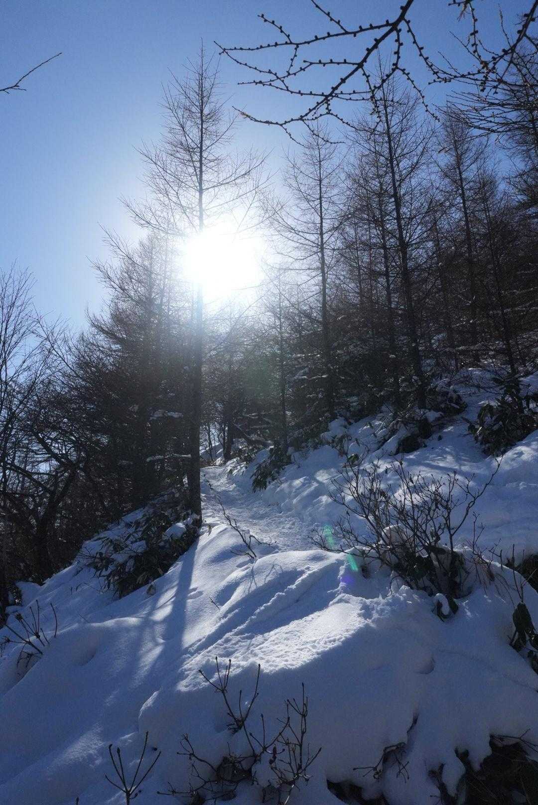 初登山、入笠山 / totoさんの入笠山の活動データ | YAMAP / ヤマップ