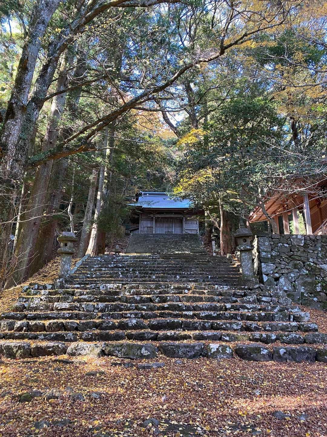 求菩提山 / ざ・ねこさんの九重山（久住山）・大船山・星生山の活動データ | YAMAP / ヤマップ