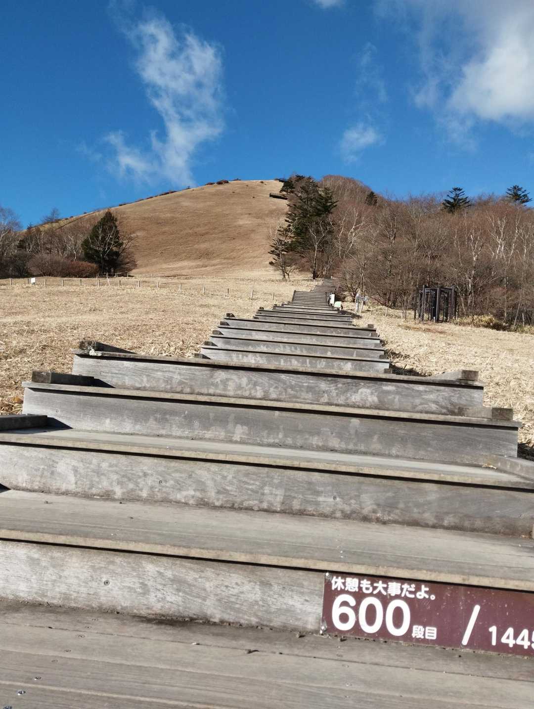 小丸山・丸山 / kuramanさんの女峰山・赤薙山・大真名子山の活動データ | YAMAP / ヤマップ