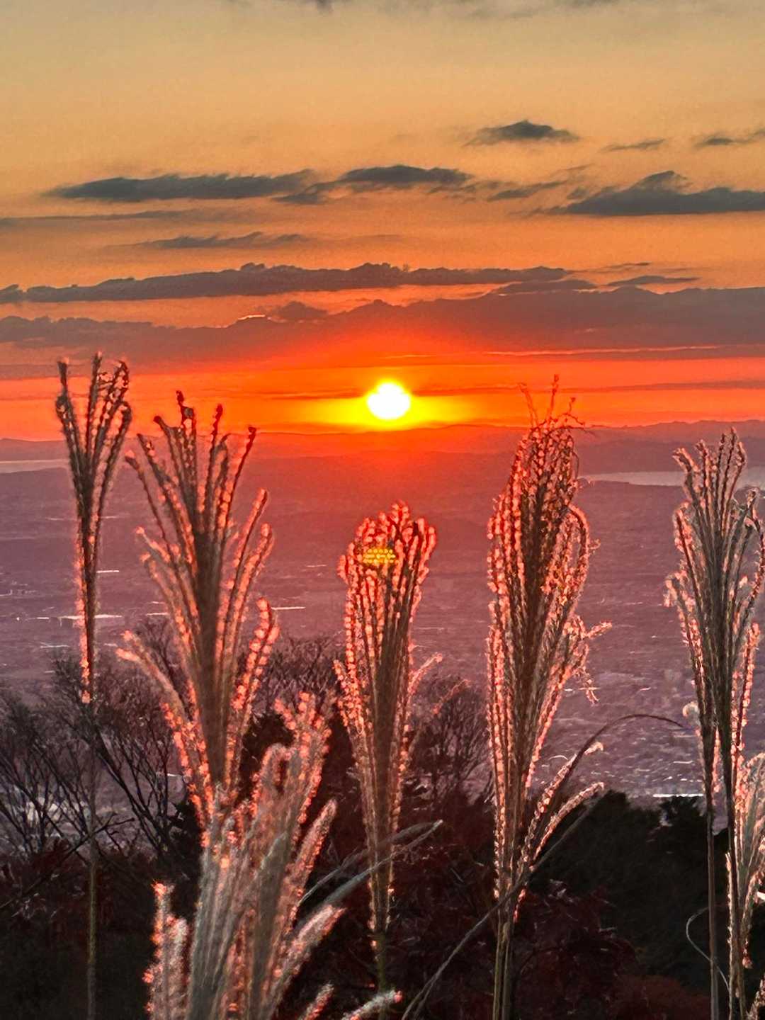 大山 / しらすさんの塔ノ岳・丹沢山・蛭ヶ岳の活動データ | YAMAP / ヤマップ