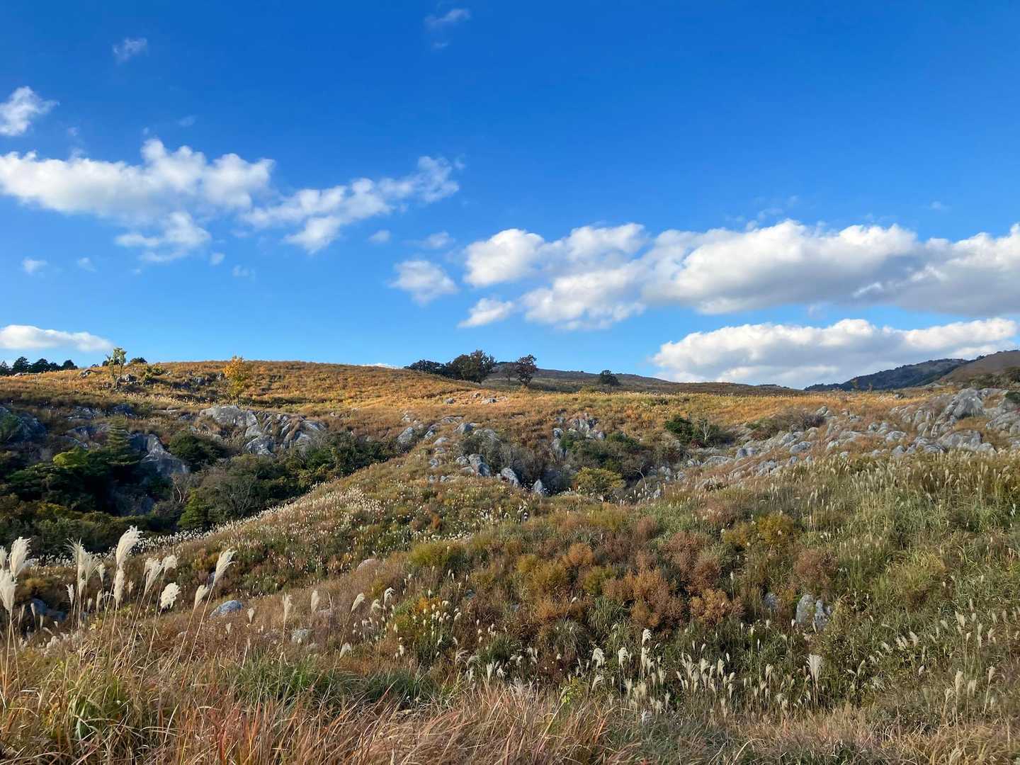 平尾台 南から縦走作戦 ラクダ山・七ツ森・塔ヶ峰・大かんの台・三笠台・風神山・不動山・堂金山 / seiさんの平尾台・貫山・水晶山の活動データ | YAMAP / ヤマップ