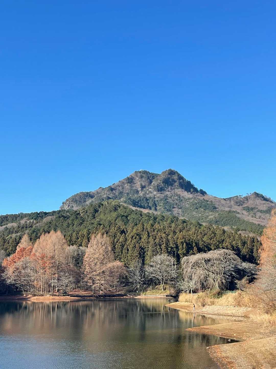古賀志山 中尾根から未知の熊尾根 / kenkenさんの古賀志山・赤岩山・鞍掛山・男抱山・半蔵山の活動データ | YAMAP / ヤマップ