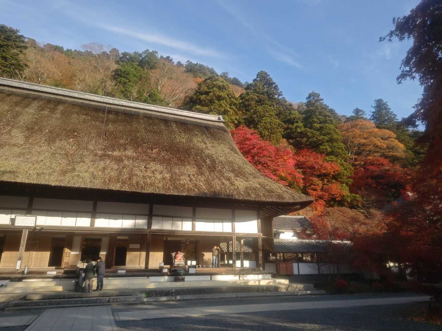 永源寺 / へたれ野郎さんのウォーキングの活動データ | YAMAP / ヤマップ