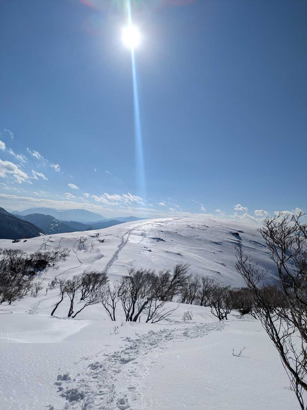 三十三間山・轆轤山 / 洛中山岳会 tomokoさんの三十三間山・三重嶽・武奈ヶ嶽の活動データ | YAMAP / ヤマップ