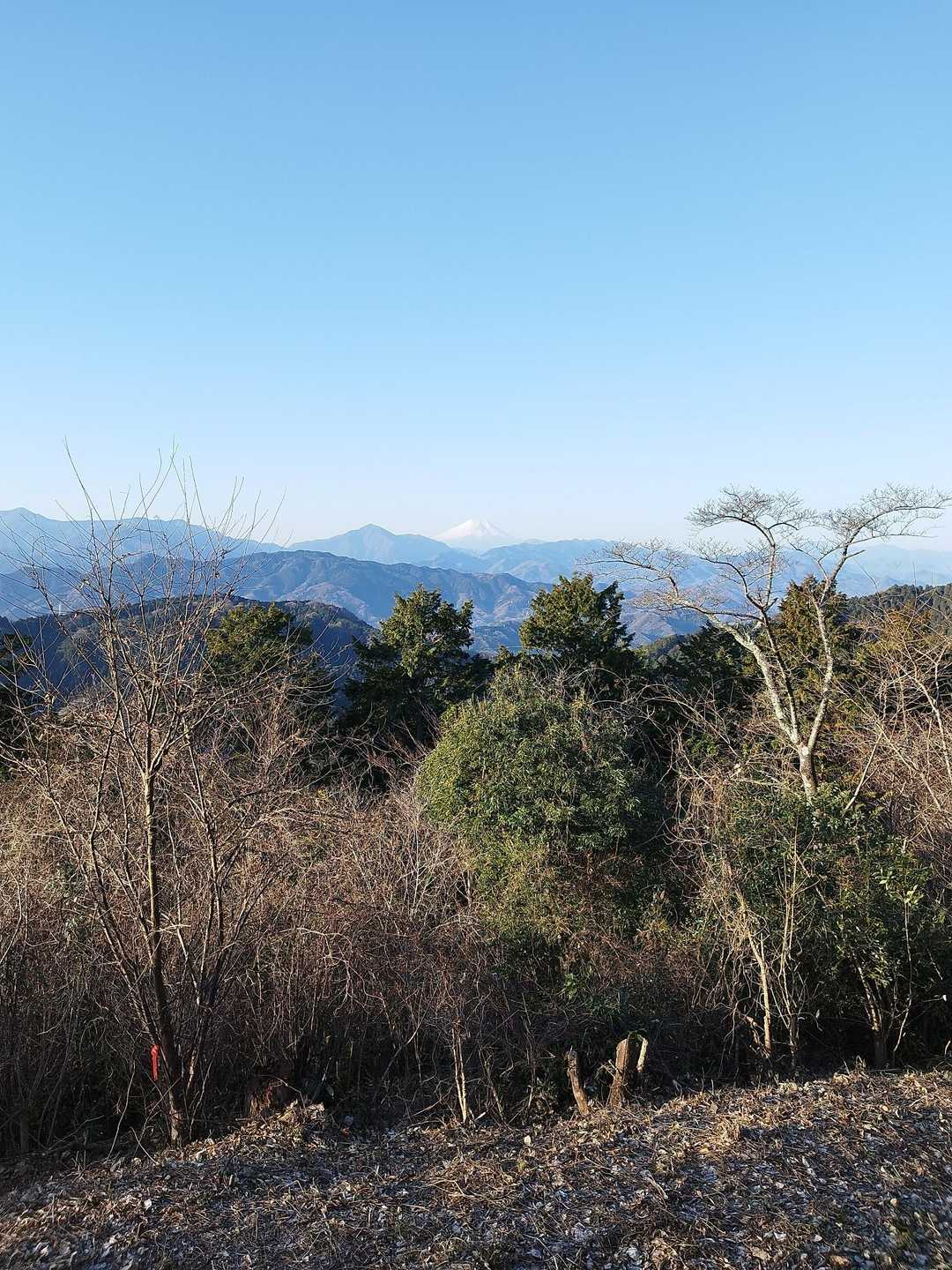 高尾山 / horitakaさんの高尾山・陣馬山・景信山の活動データ | YAMAP / ヤマップ