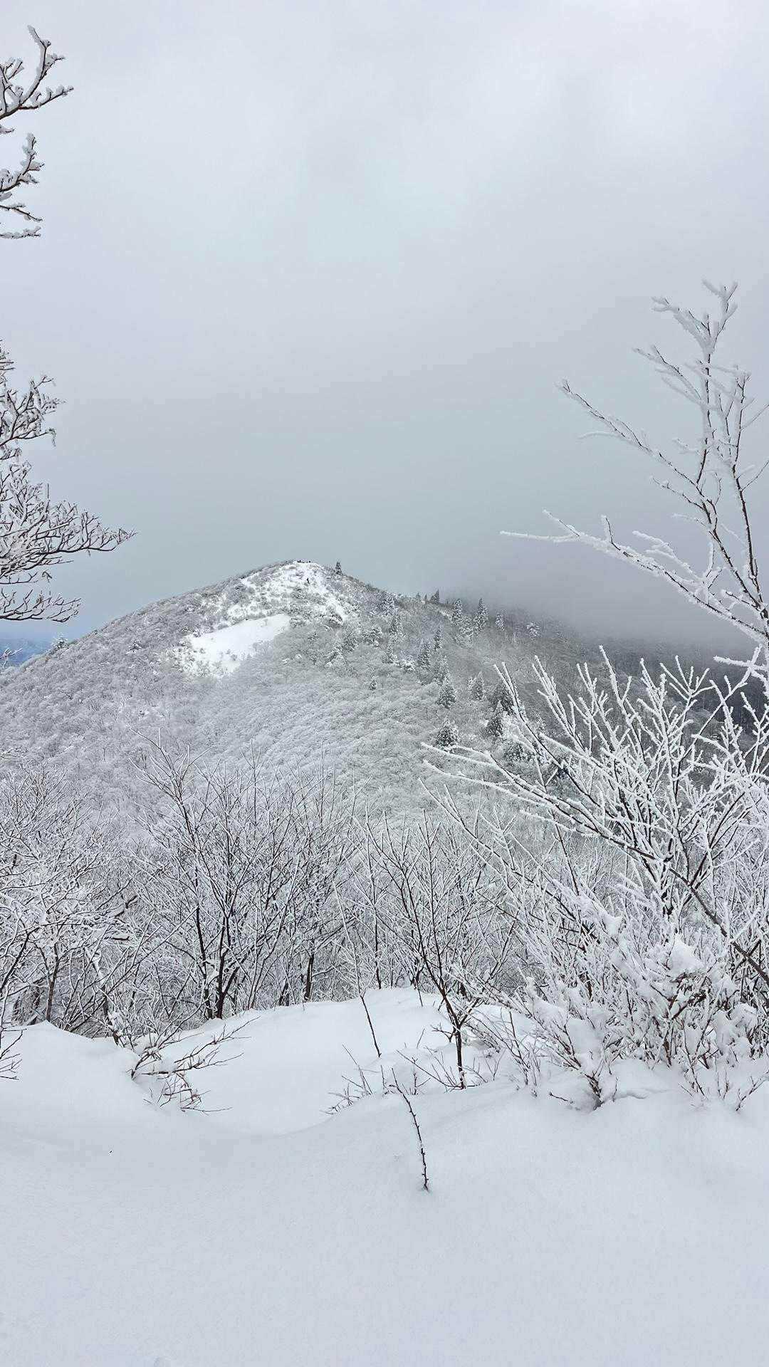 冬の大冒険1座目は武奈ヶ岳 / アブさんの比良山地・武奈ヶ岳・釈迦岳の活動データ | YAMAP / ヤマップ