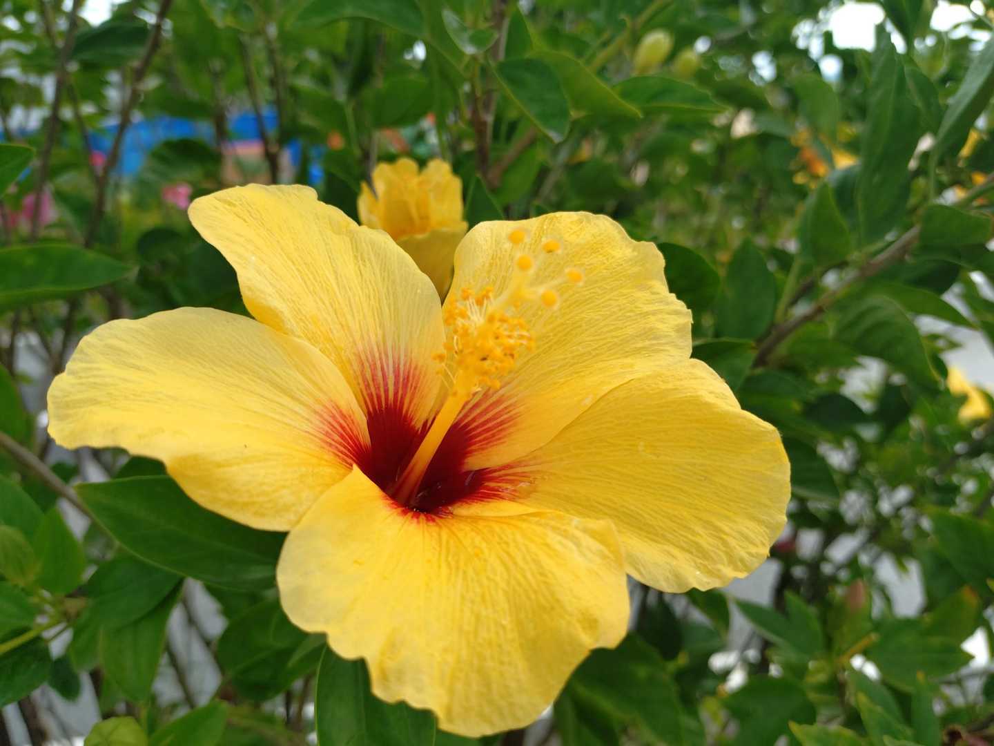 城山（たっちゅー） / moneさんの伊江島の活動データ | YAMAP / ヤマップ