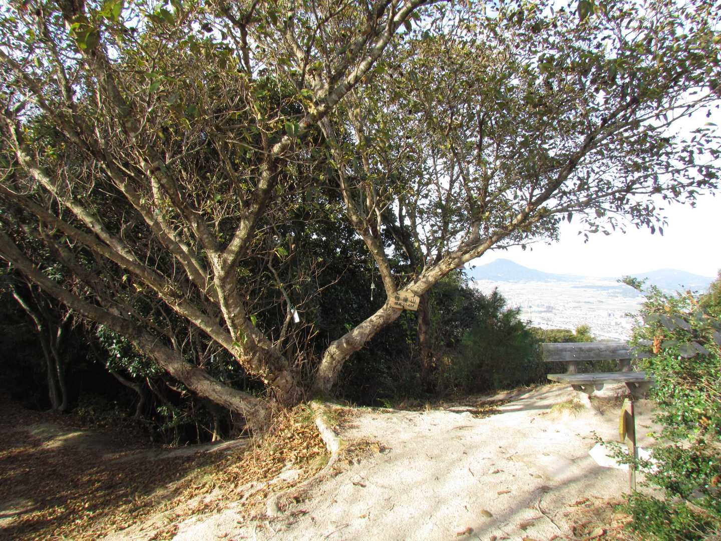 鐘撞山 人に合わず 2025-12-23 / だんぼさんの高祖山・飯盛山・叶岳の活動データ | YAMAP / ヤマップ