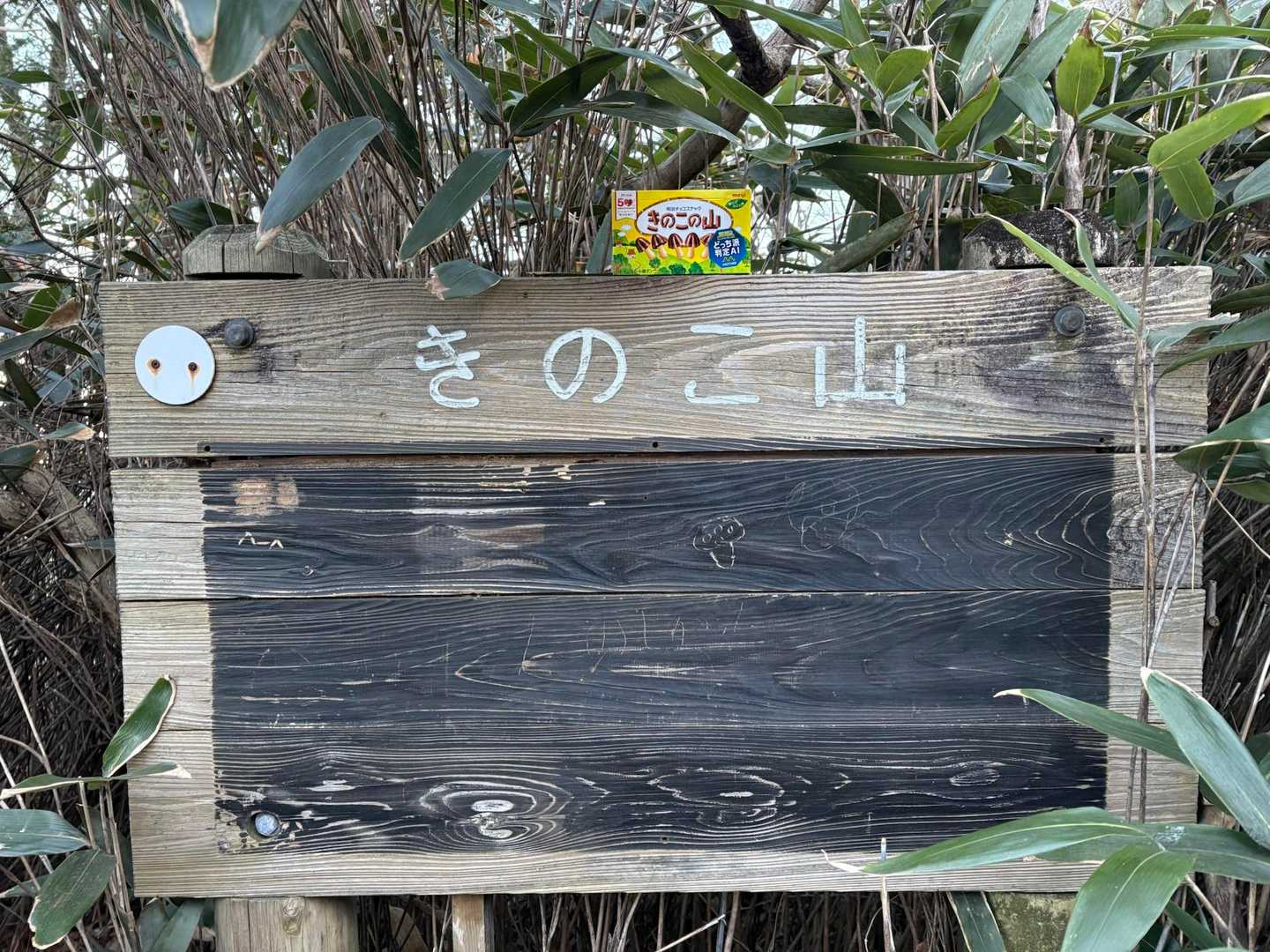 きのこ山・足尾山 / monさんの加波山・吾国山・難台山の活動データ | YAMAP / ヤマップ