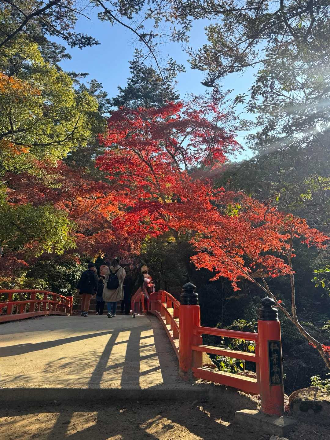 紅葉の宮島へ🍁 / こばちゃんさんの宮島（厳島）・弥山の活動データ | YAMAP / ヤマップ