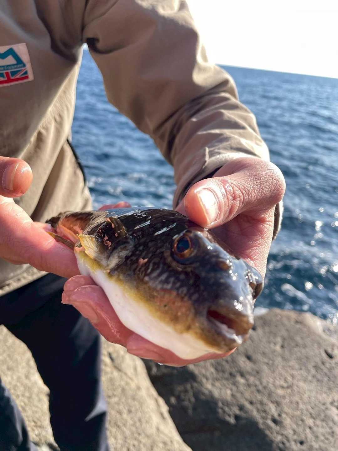 初のオハイを満喫🌊 / yanaさんの八鬼山・頂山・オハイの活動データ | YAMAP / ヤマップ