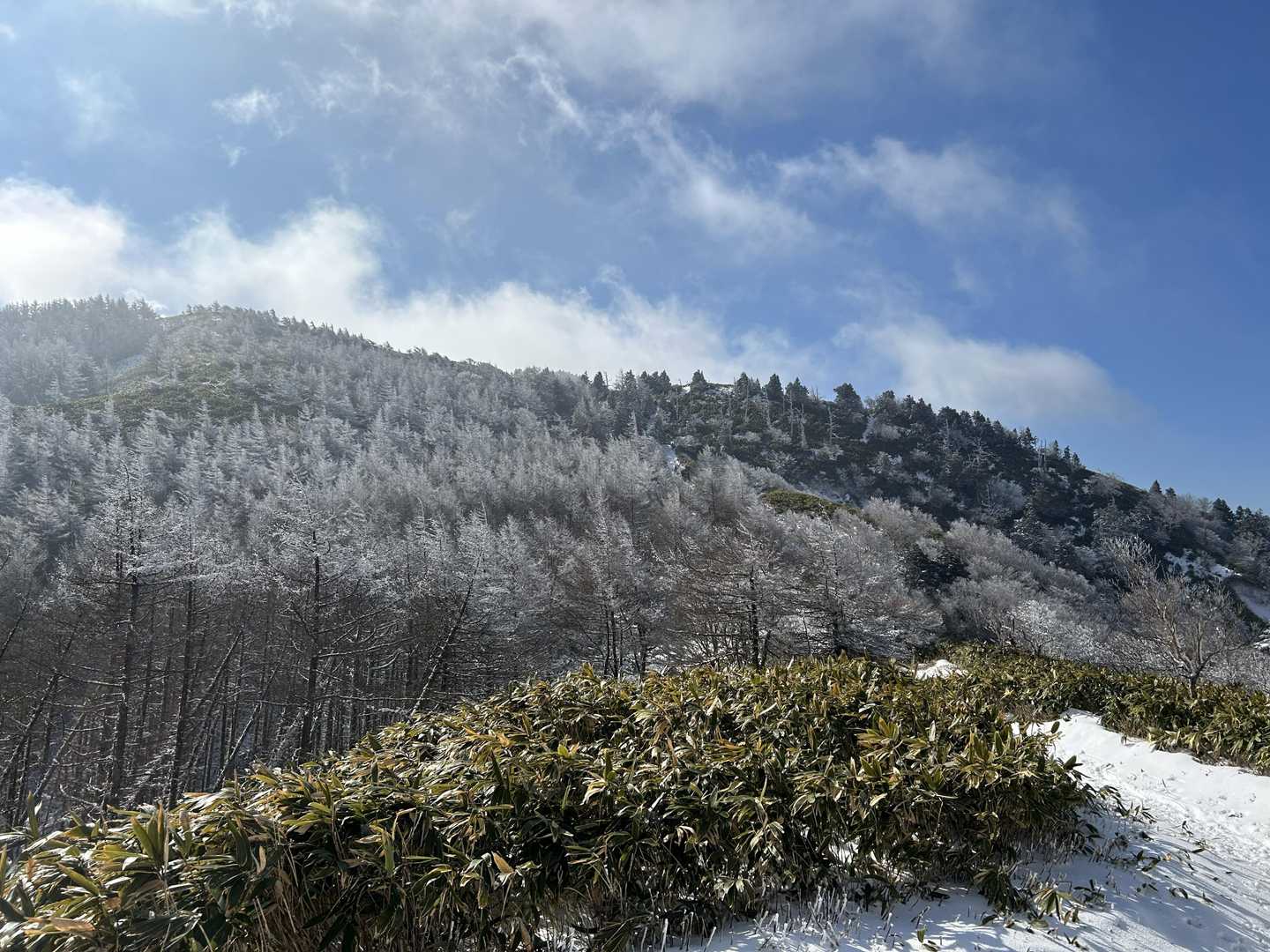 南沢山・横川山（湯舟沢山） / bopharさんの恵那山・大判山・神坂山の活動データ | YAMAP / ヤマップ
