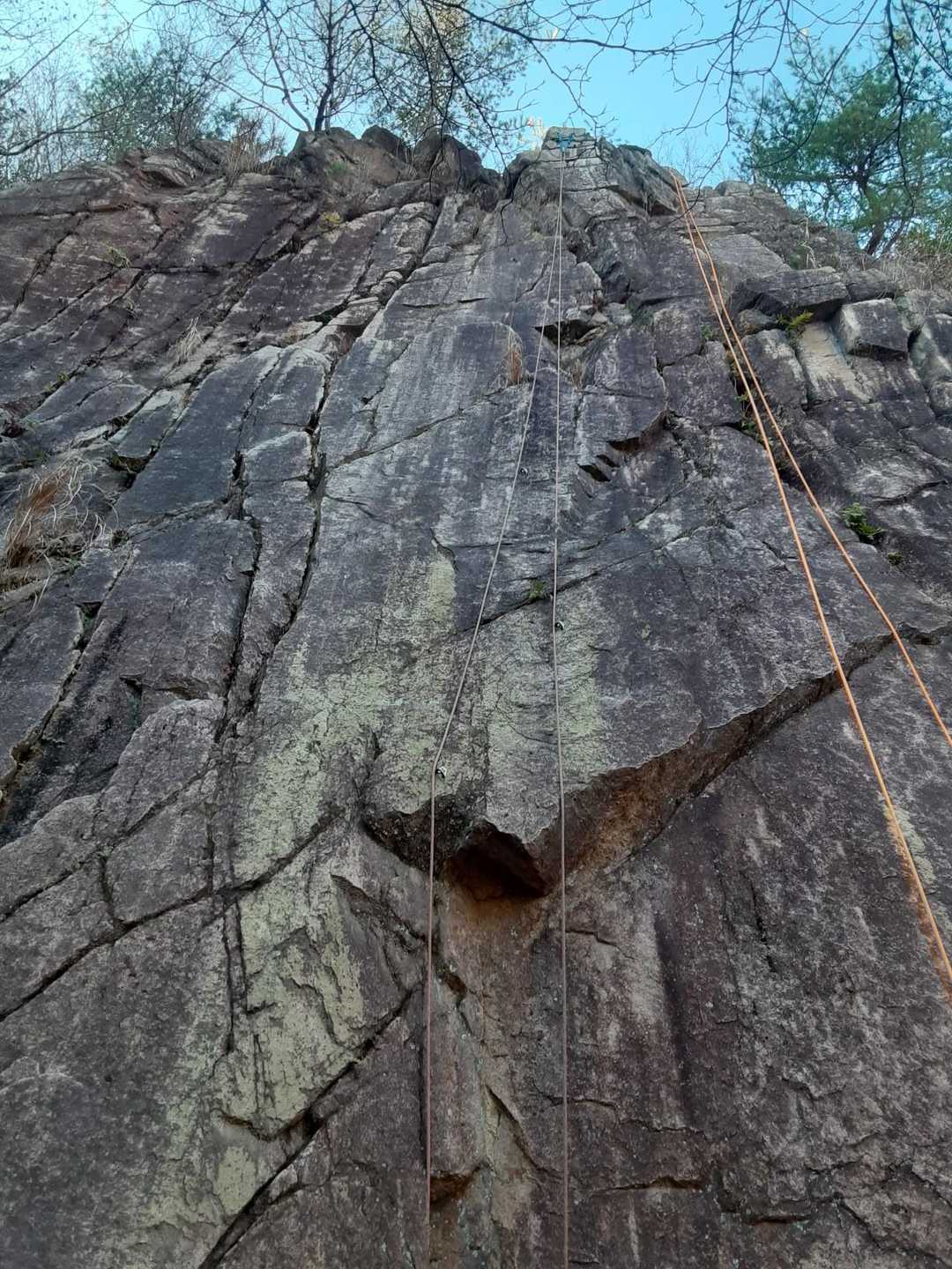 初めてロープ体験 / JUNKOさんの六甲山・長峰山・摩耶山の活動データ | YAMAP / ヤマップ