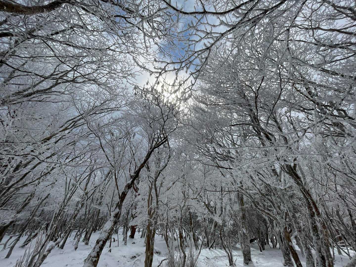 三峰山⛰️ / MKさんの三峰山・学能堂山・栗ノ木岳の活動データ | YAMAP / ヤマップ