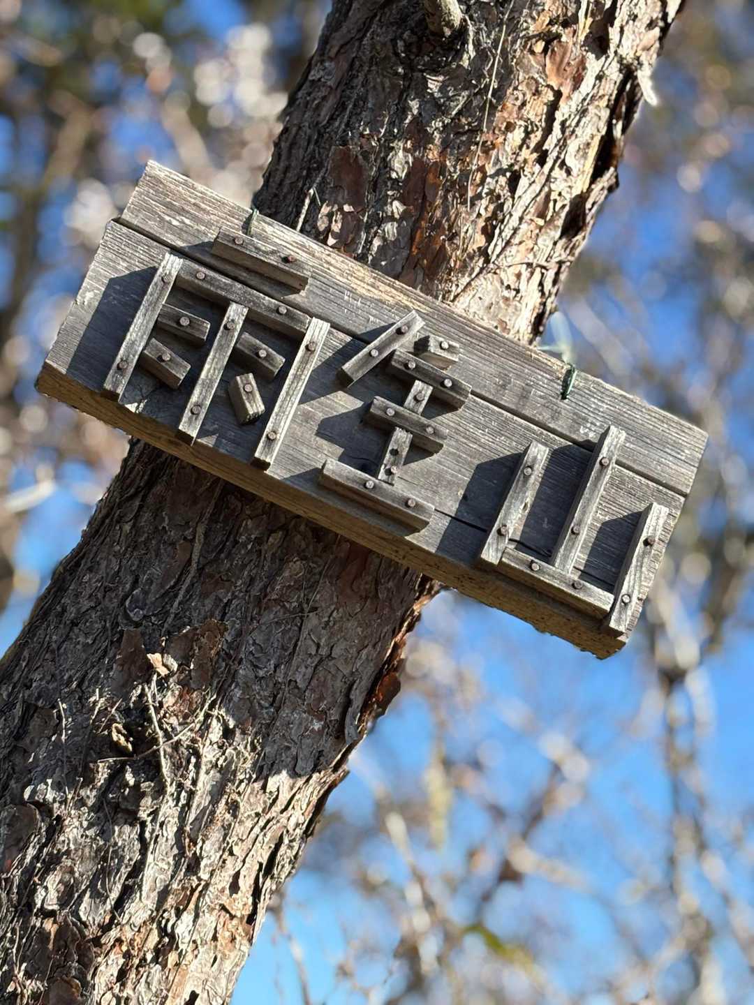 中宇利丸山・金山・雨生山 / tokoさんの雨生山・金山の活動データ | YAMAP / ヤマップ
