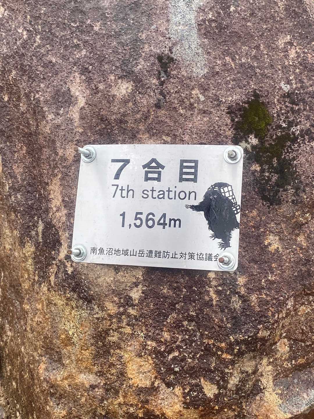 巻機山7合目プレートに もじゃもじゃ君？... / mtakoさんのモーメント | YAMAP / ヤマップ