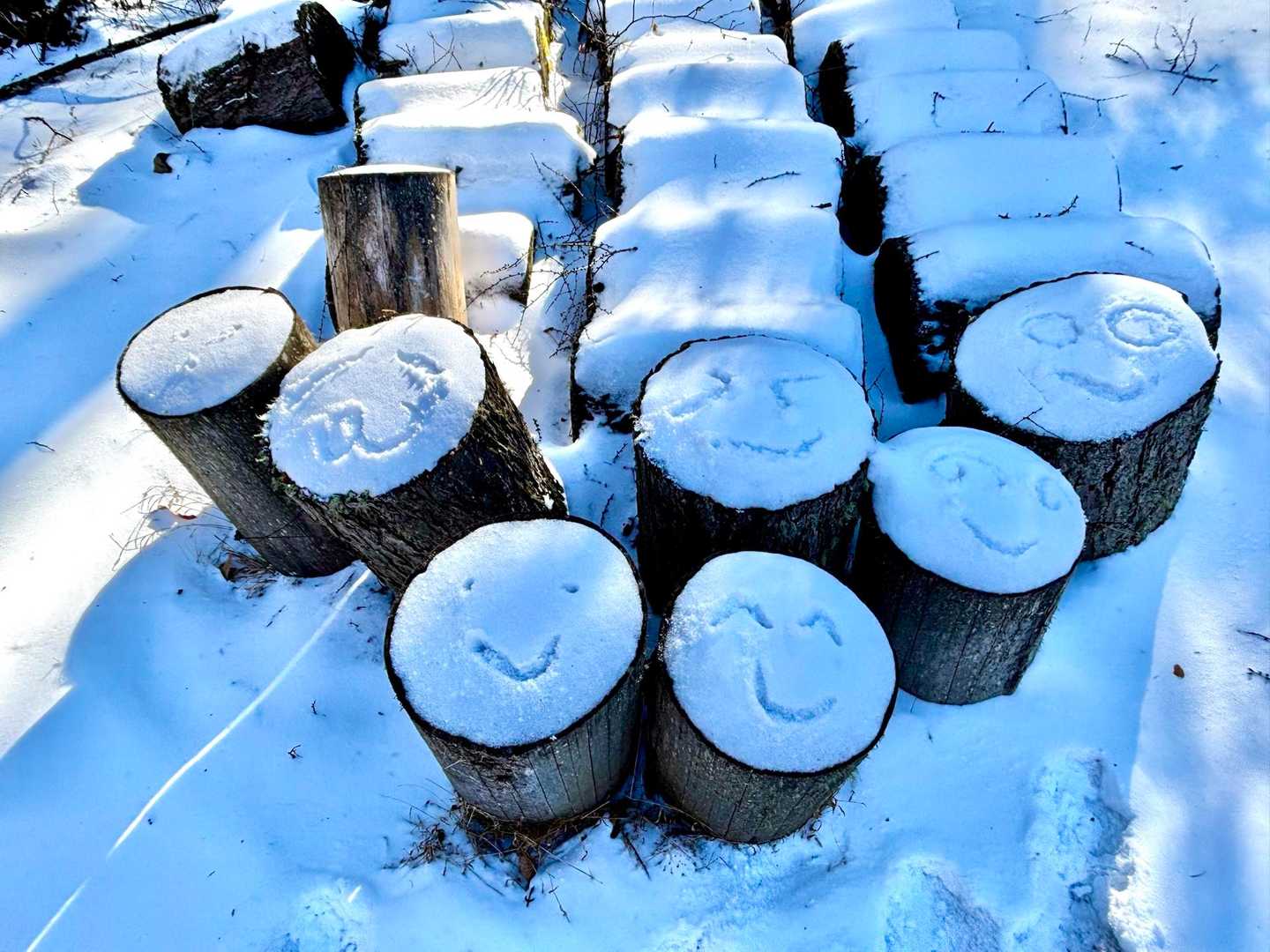 〜守屋山〜クモラヌ ヤケヌ / えめさんの守屋山の活動データ | YAMAP / ヤマップ