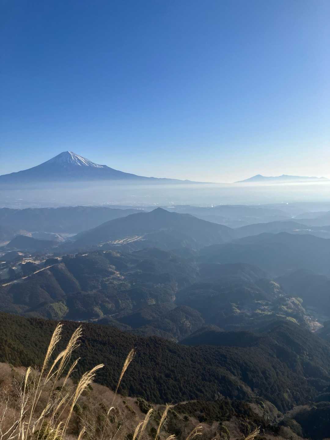 貫ヶ岳・高ドッキョウ / obachiさんの貫ヶ岳・高ドッキョウの活動データ | YAMAP / ヤマップ