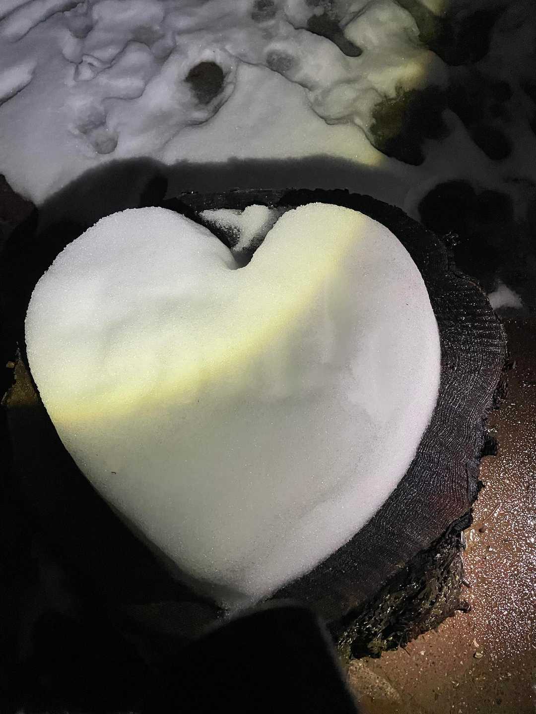 城山185🤍 / みーま（╹ ╹）さんの時水城山・丸山の活動データ | YAMAP / ヤマップ