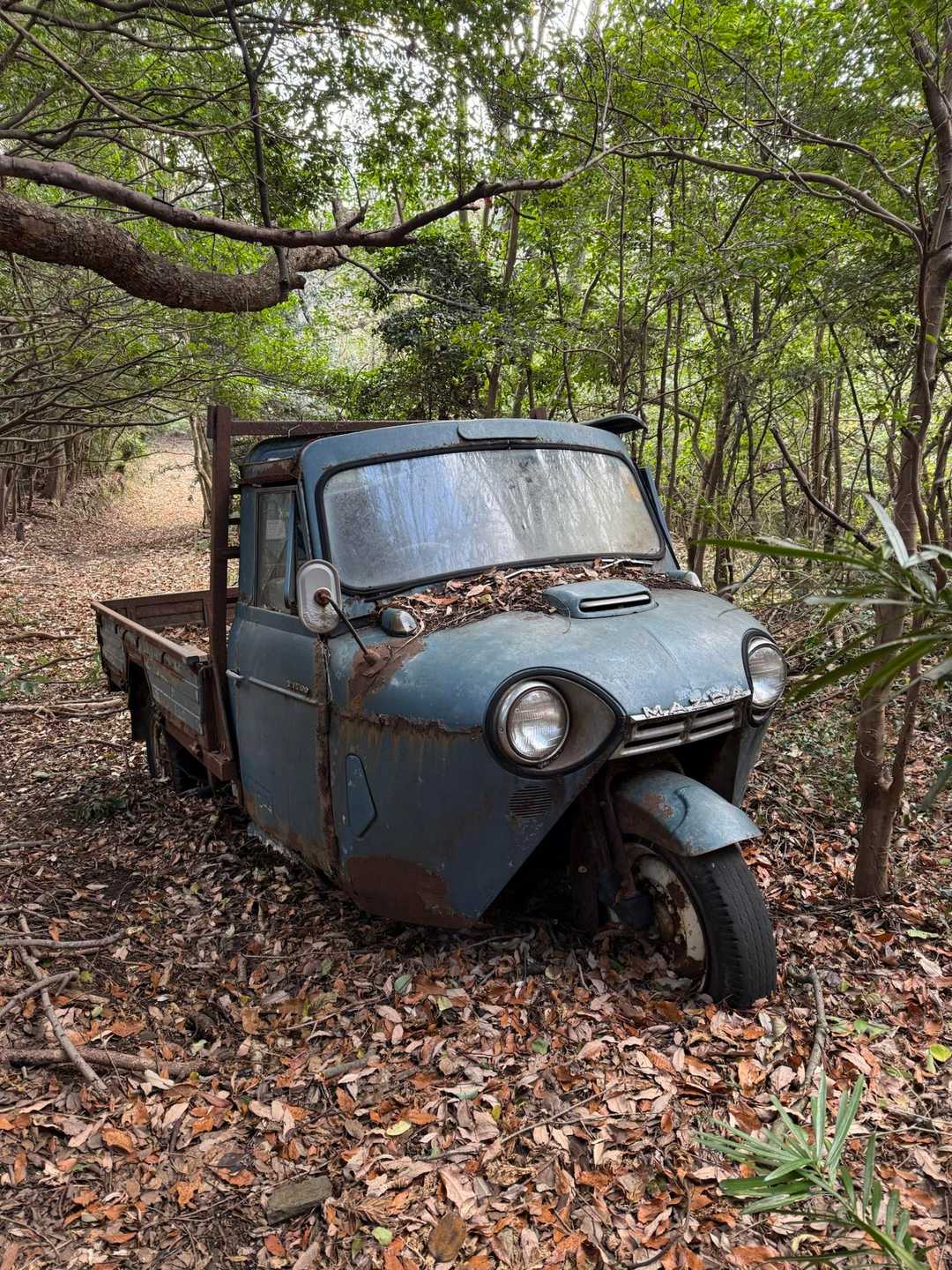 西尾の茶臼界隈🍵 / トトルルさんの茶臼山・万灯山の活動データ | YAMAP / ヤマップ