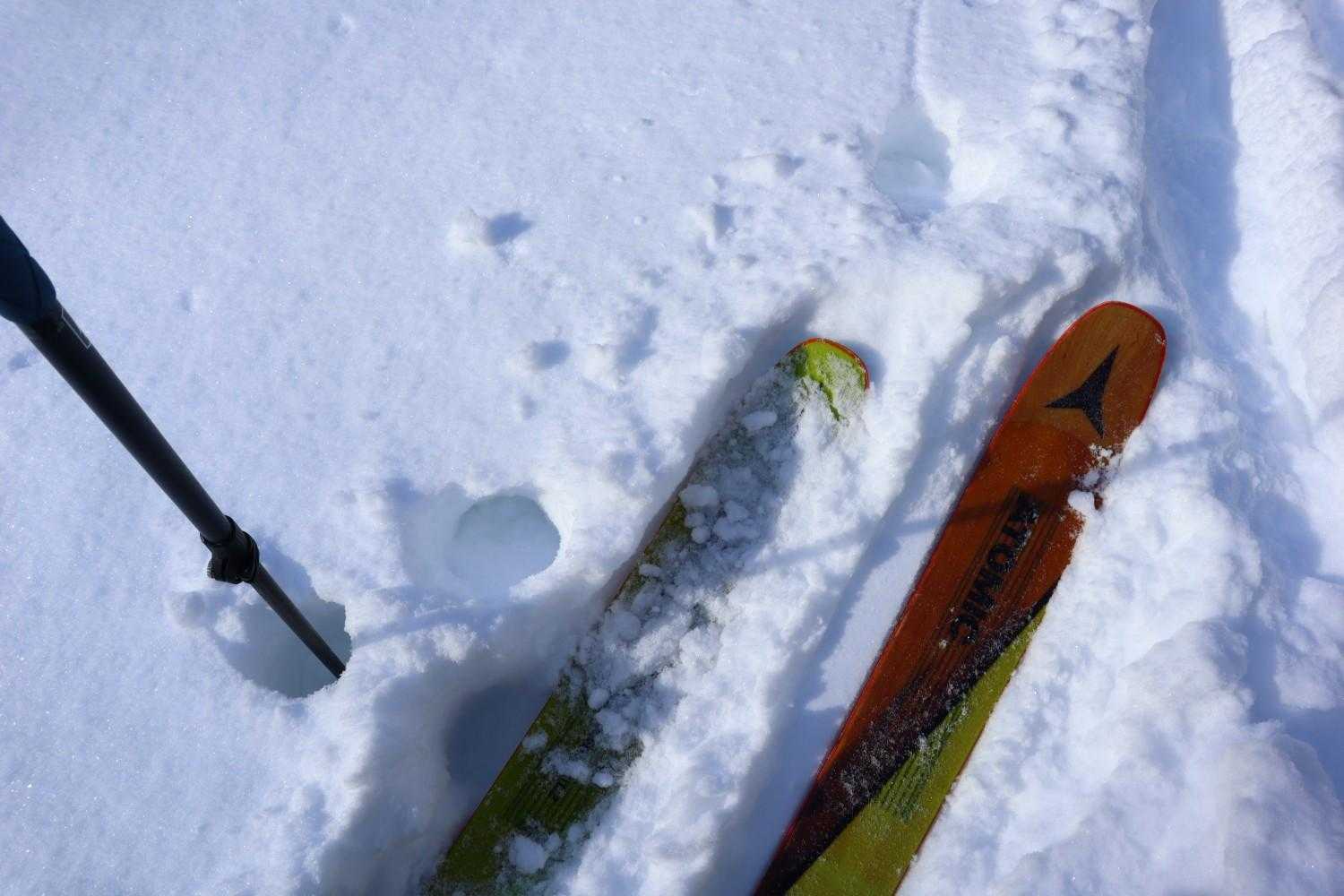 高砂山 / Su3さんの丸山・三面山・シラッケ山の活動データ | YAMAP / ヤマップ
