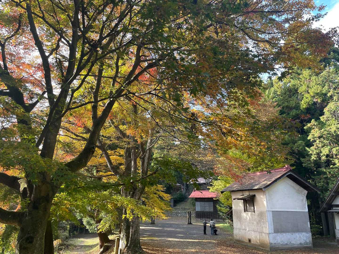 高麗駅-日和田山-高差山-物見山-顔振峠-吾野駅 / serickさんのヤマノススメ巡礼マップ（天覚山・大高山・子の権現）の活動データ ...