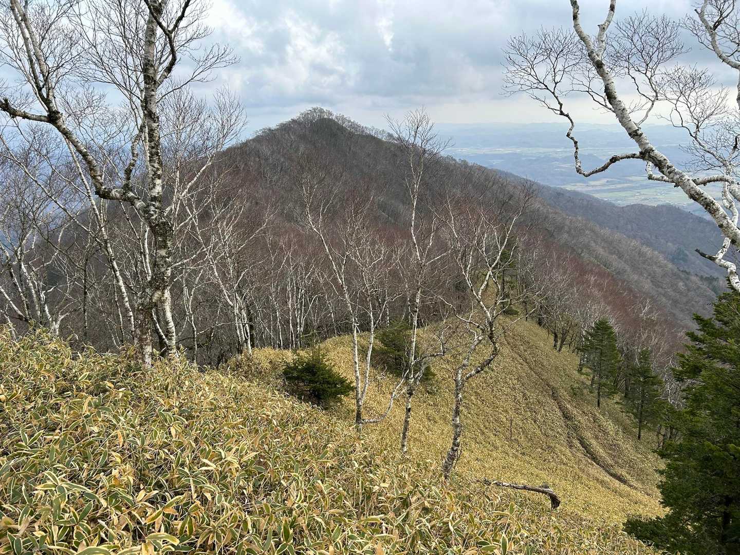横山三山 / みっつさんの横山中岳の活動データ | YAMAP / ヤマップ