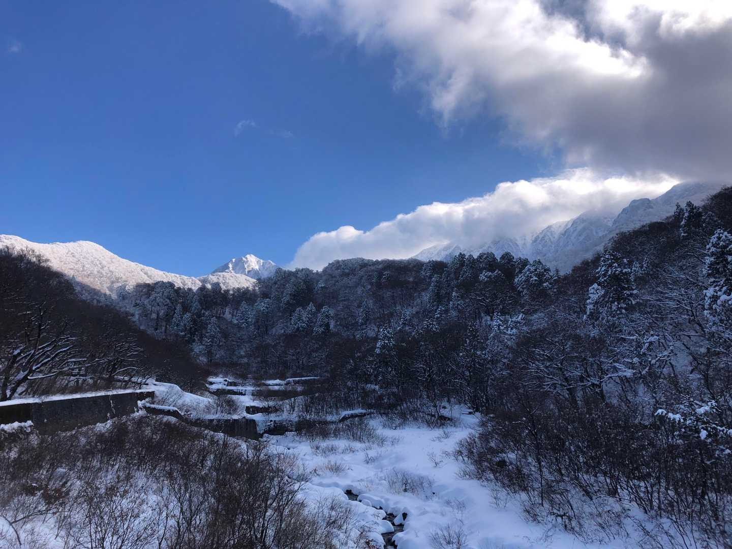大山スノーシュー / natさんの大山・甲ヶ山・野田ヶ山の活動データ | YAMAP / ヤマップ