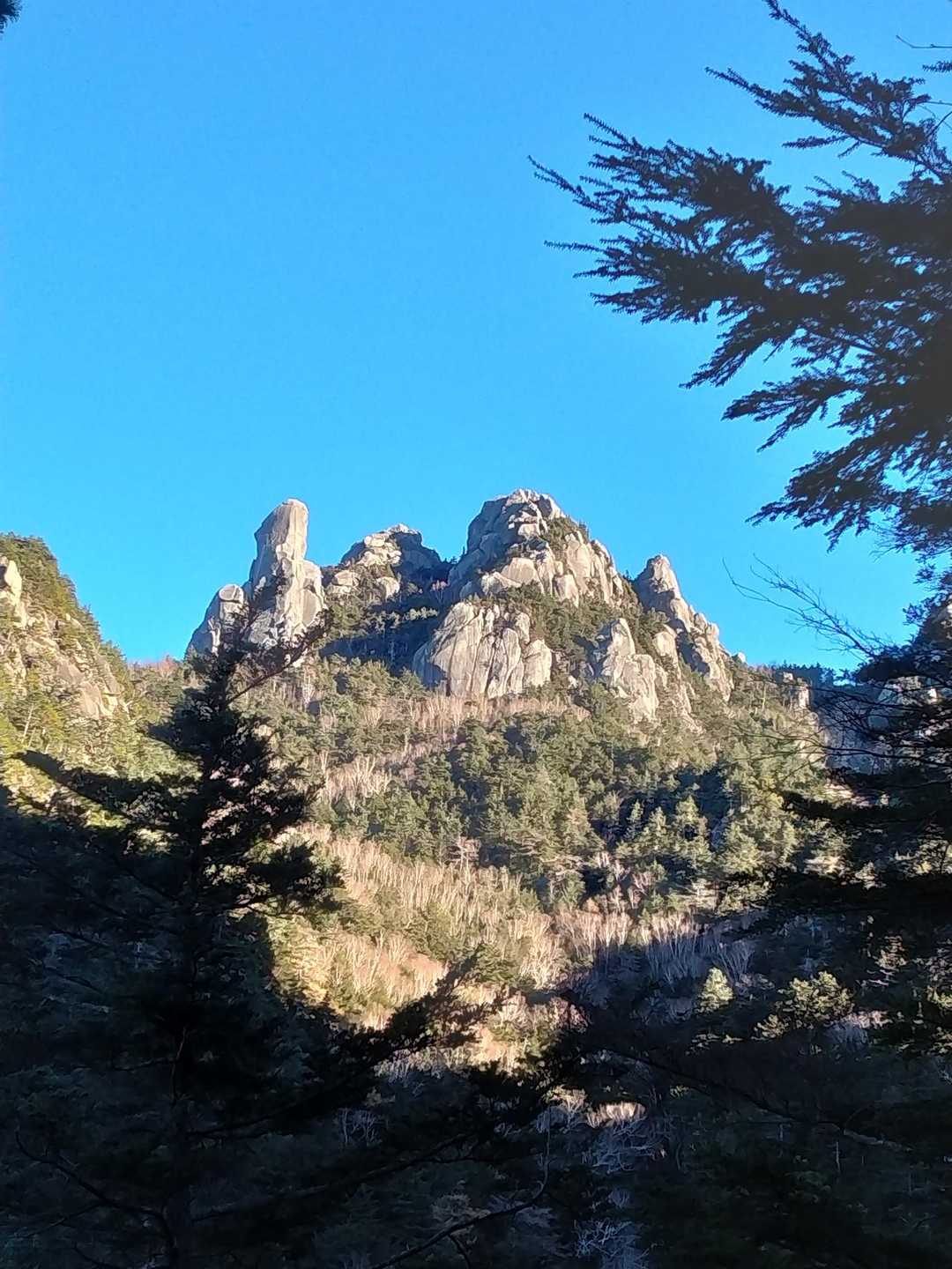 瑞牆山 / dawnさんの瑞牆山・金峰山の活動データ | YAMAP / ヤマップ