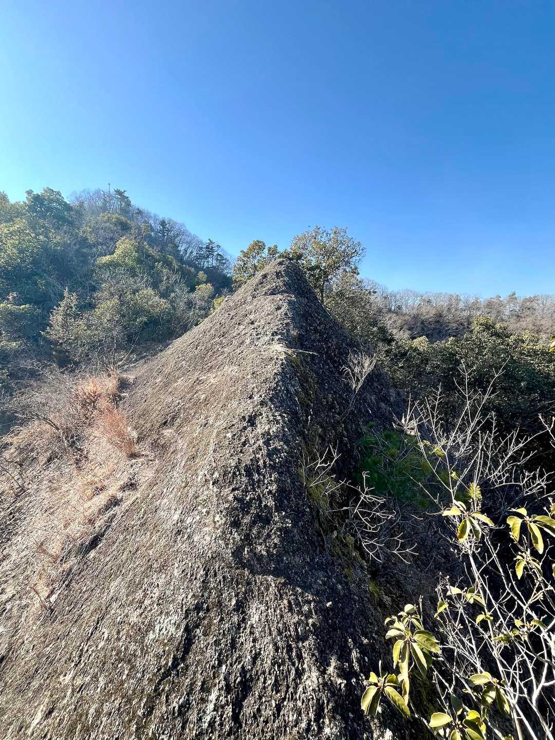 扇山火災の規制線により撤収 / →Hiro-k←さんの倉岳山・高畑山・九鬼山の活動データ | YAMAP / ヤマップ