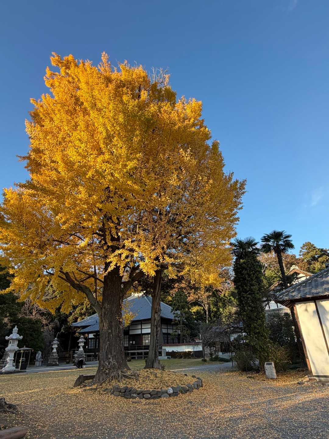 2025年11月24日（月） 23日勤... / kazu⛰️さんのモーメント | YAMAP / ヤマップ