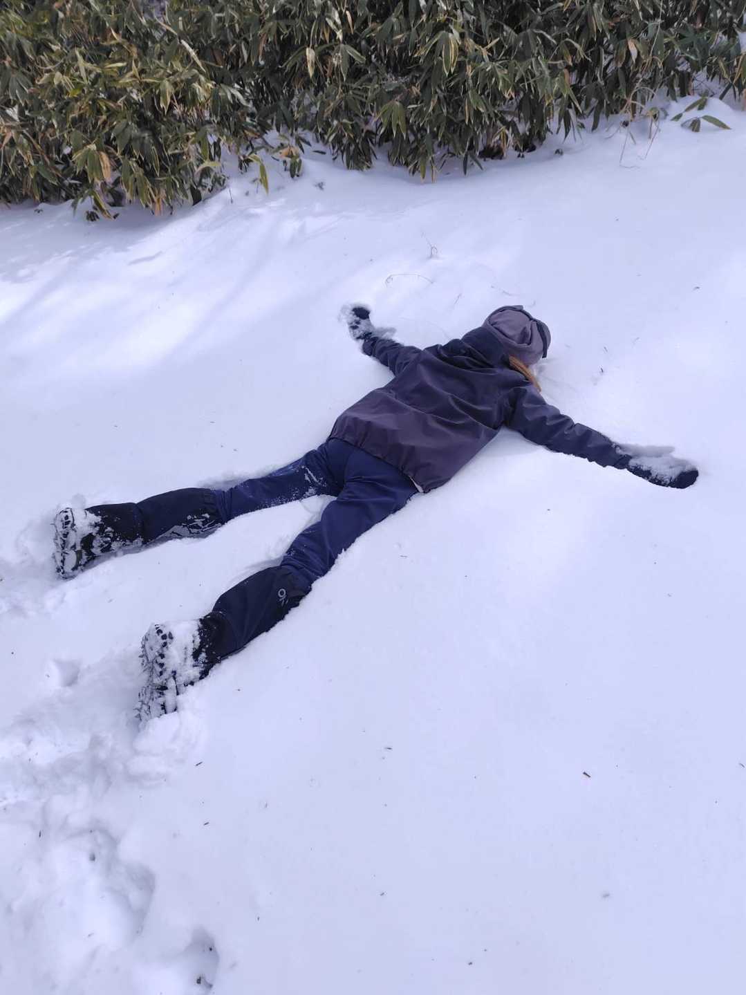 蛇峠山 1664へチョコっと雪歩き ️ / hitoさんの蛇峠山の活動データ | YAMAP / ヤマップ