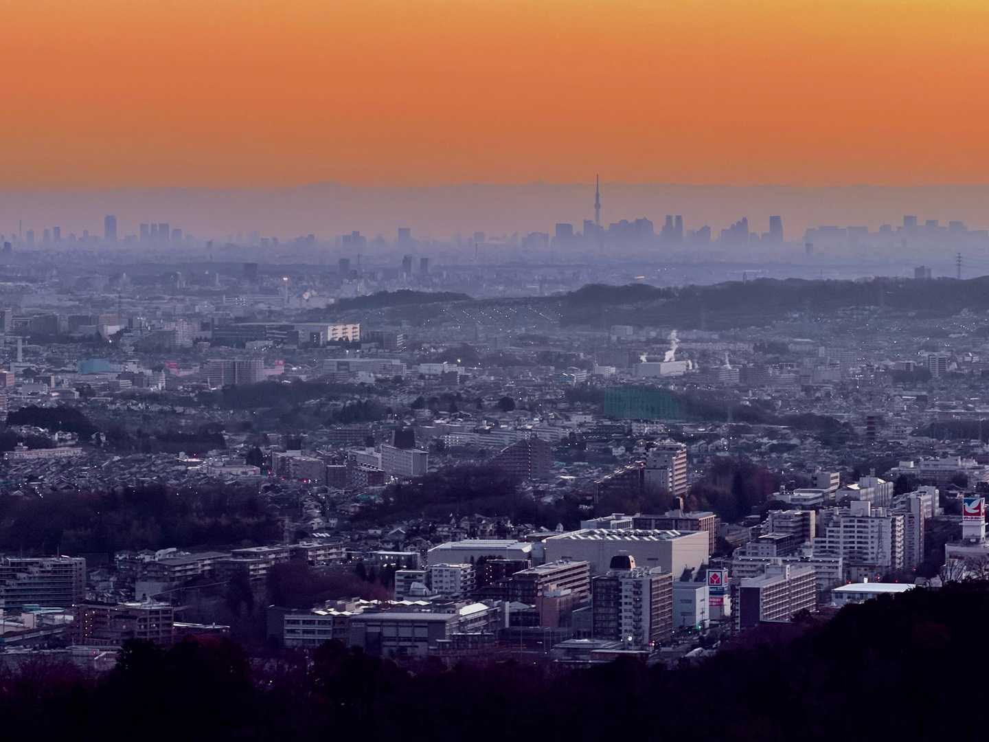 年の瀬の高尾山👍️ / kiretさんの高尾山・陣馬山・景信山の活動データ | YAMAP / ヤマップ