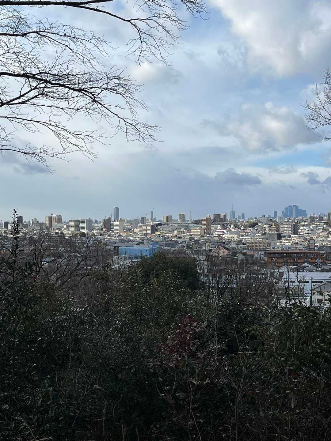 ウォーキング-2025-02-08 / Guestさんの名古屋市の活動データ | YAMAP / ヤマップ