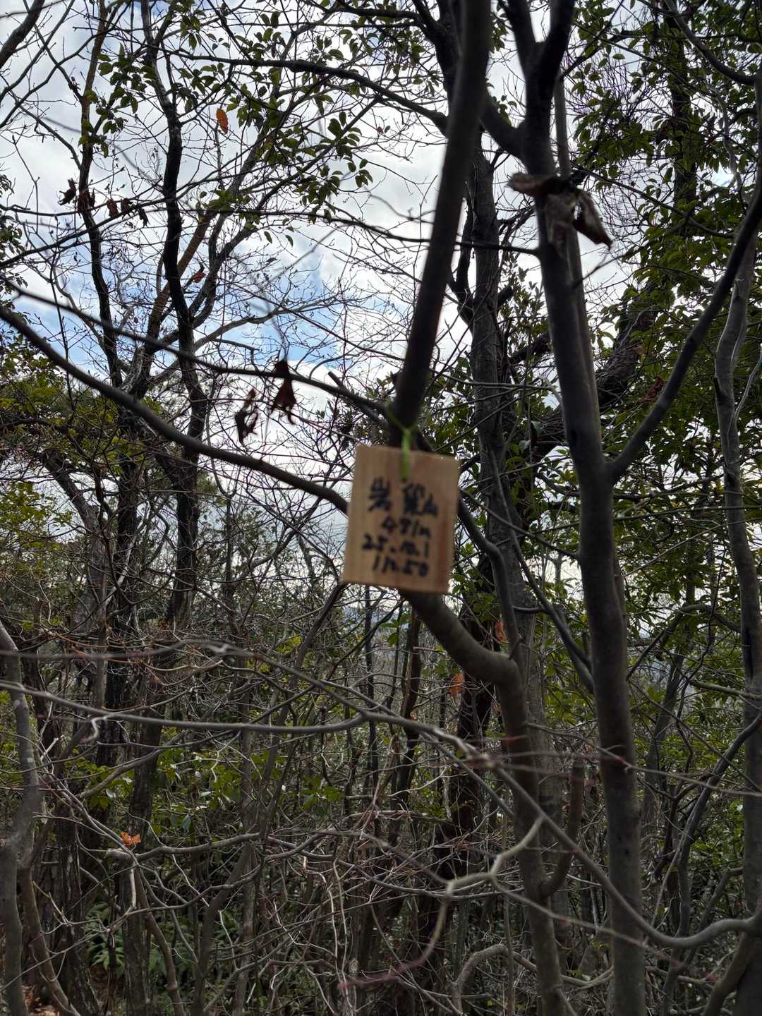 元岩巣山・岩巣山 / けんごさんの岩巣山・三国山・折平山の活動データ | YAMAP / ヤマップ