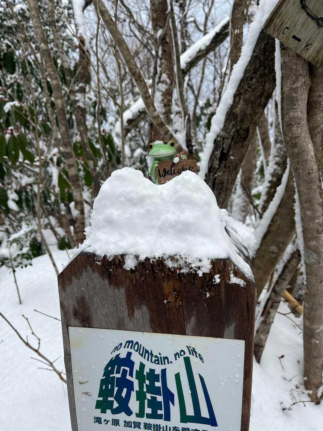 松賀山・後山・鞍掛山 / kyon 8080 さんの鞍掛山・後山・三童子山の活動データ | YAMAP / ヤマップ