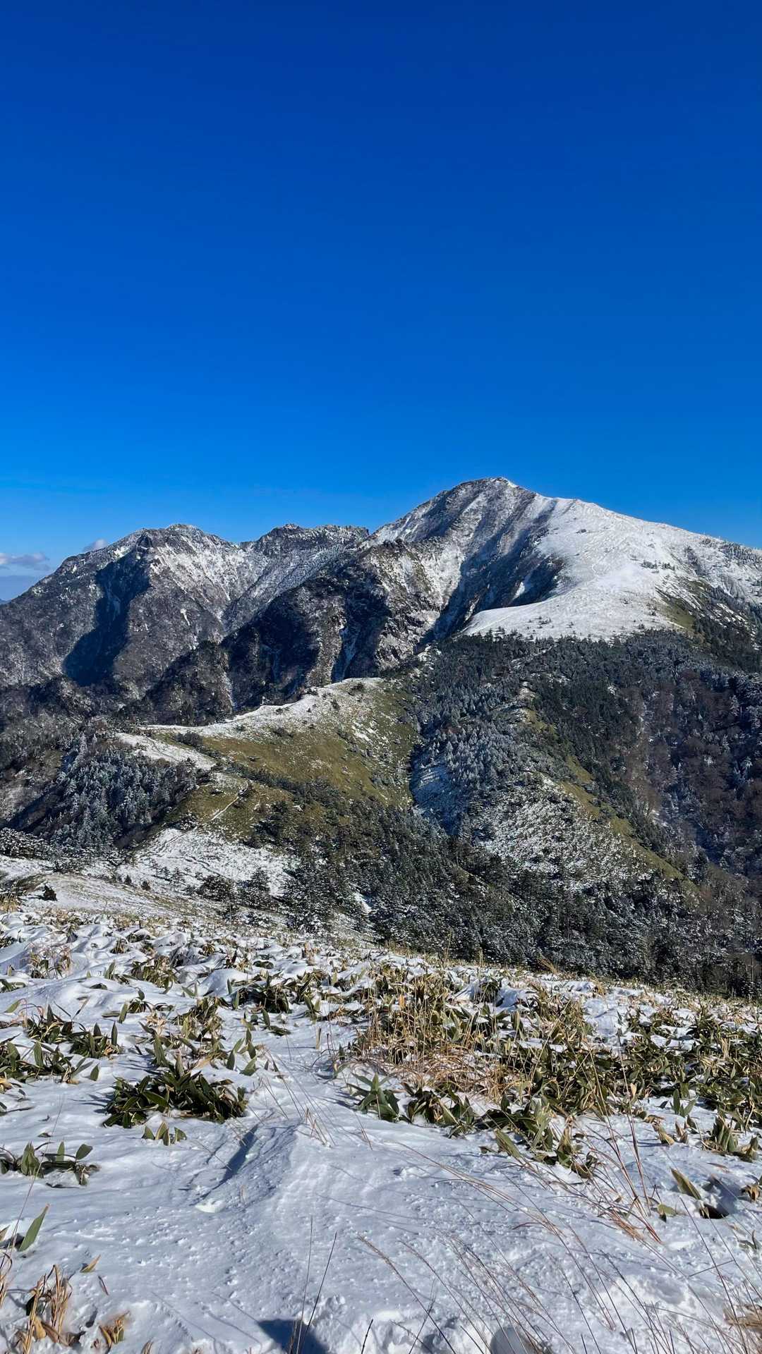 【石鎚山系】堂ヶ森 （保井野登山口からの急登コース） 動画あります / kin_kinさんの石鎚山・堂ヶ森・二ノ森の活動データ | YAMAP ...