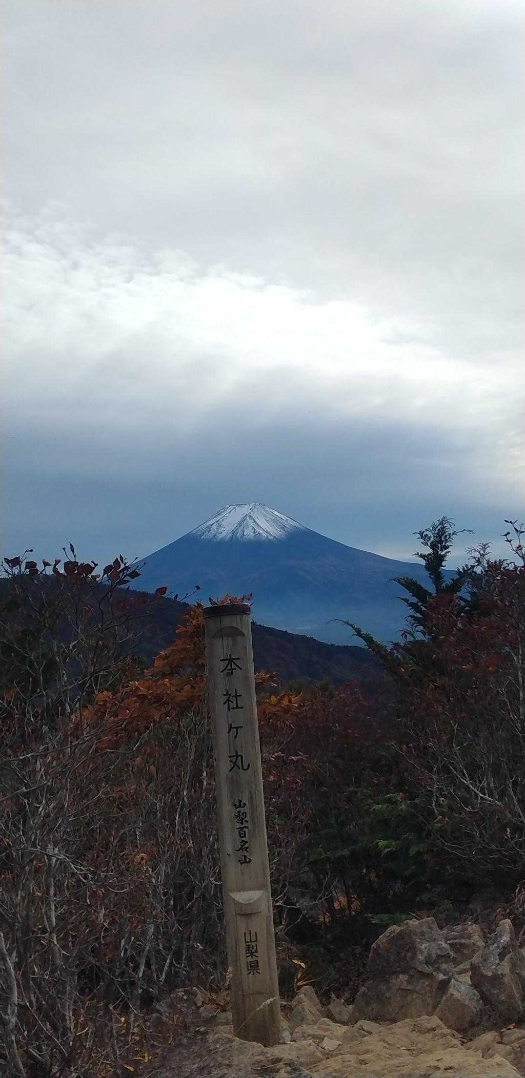 本社ヶ丸 周回 / ハチマキさんの三ッ峠山・本社ヶ丸・鶴ヶ鳥屋山の活動データ | YAMAP / ヤマップ