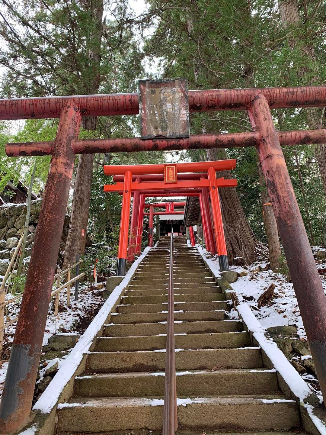 千歳山 2023-12-24登り納め / mashiさんの千歳山・猿岡山・戸神山の活動データ | YAMAP / ヤマップ