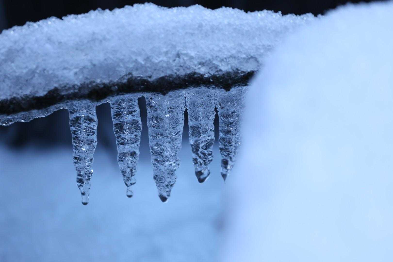 前岳 / くまさんの太平山・馬場目岳の活動データ | YAMAP / ヤマップ