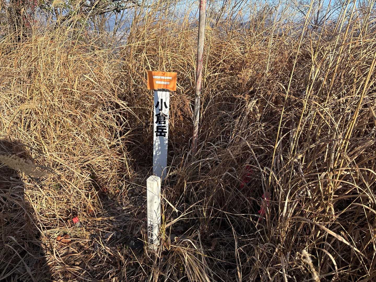 小倉岳・青野山 / yoshiさんの万年山・伐株山の活動データ | YAMAP / ヤマップ