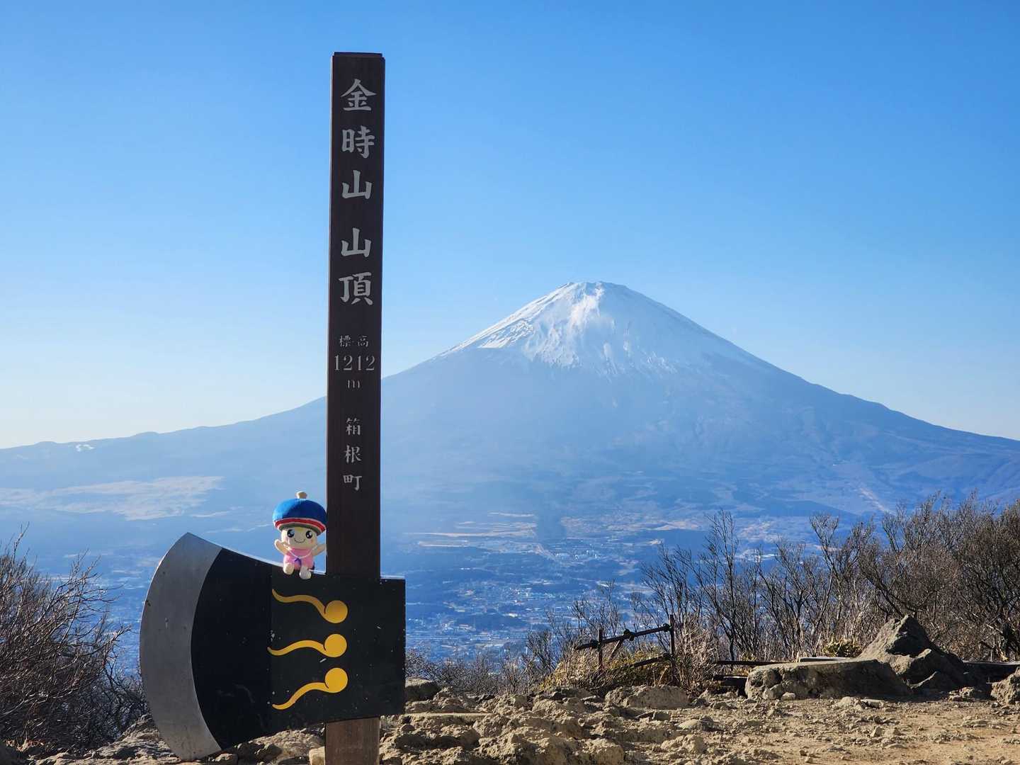 金時山🗻 / このぴさんの金時山・明神ヶ岳の活動データ | YAMAP / ヤマップ
