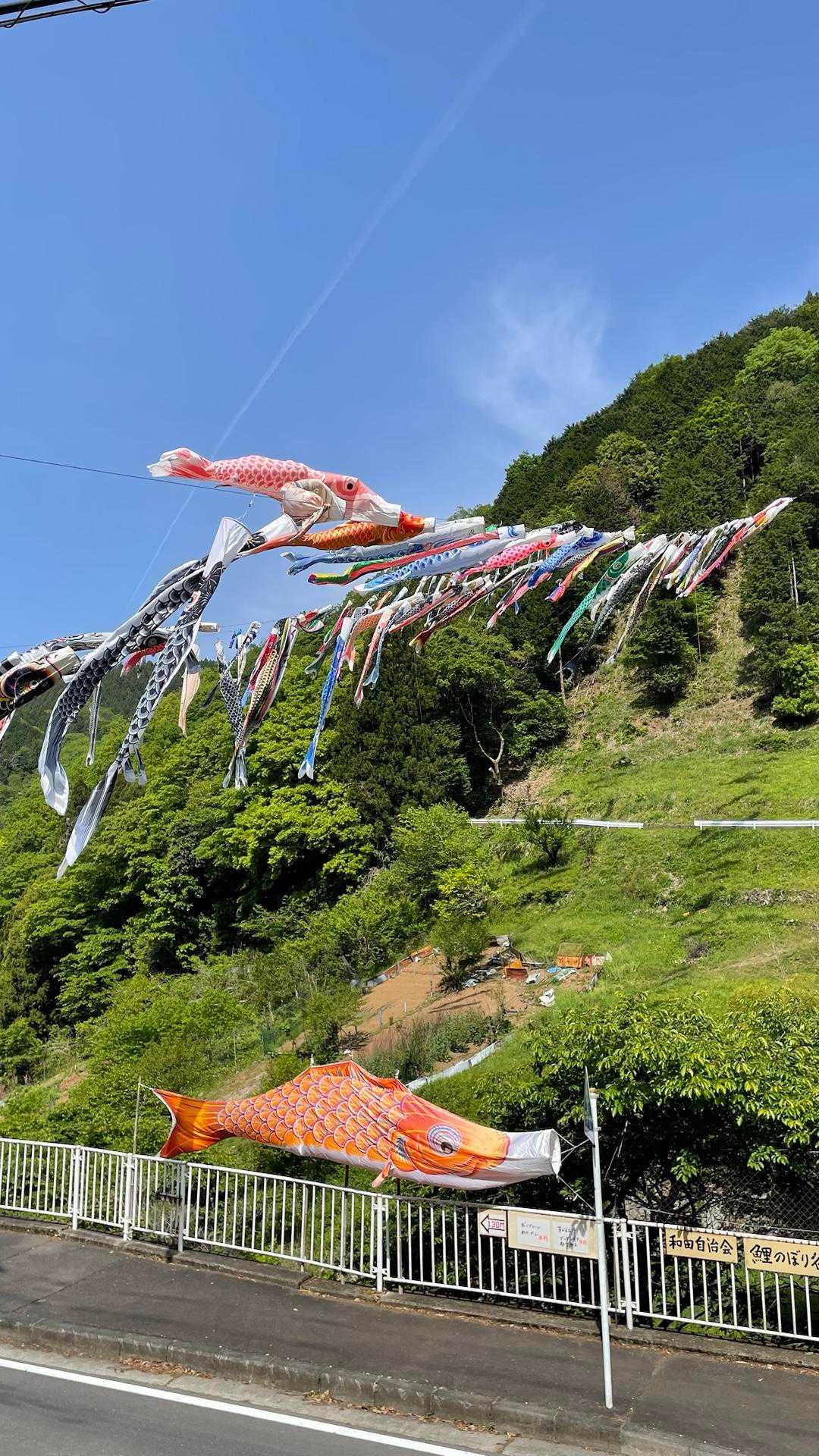 陣馬山 / senumiさんの高尾山・陣馬山・景信山の活動データ | YAMAP / ヤマップ