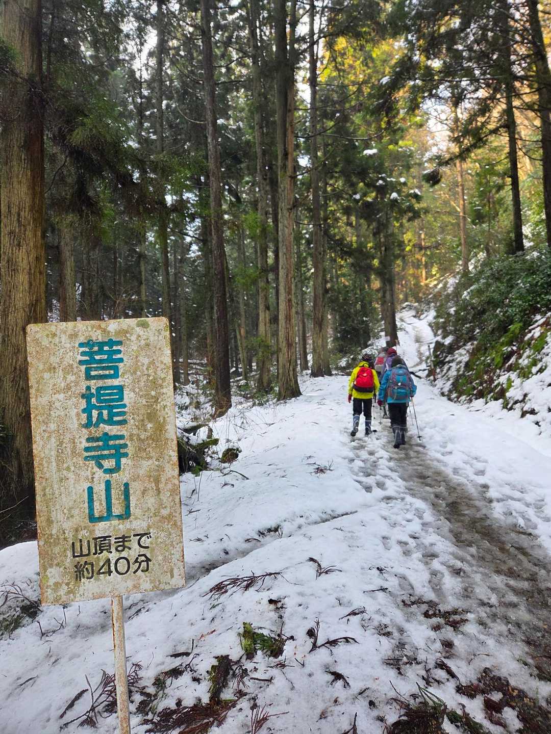 菩提寺山 / kokoさんの菩提寺山・高立山・護摩堂山の活動データ | YAMAP / ヤマップ