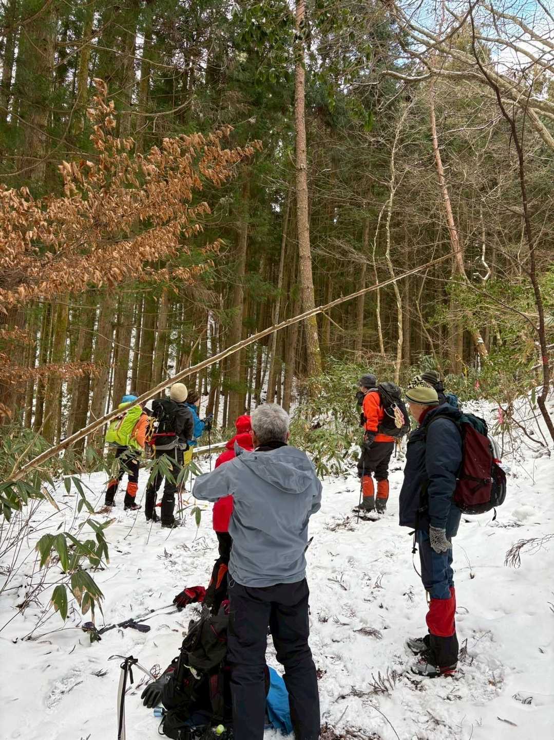 鬼ヶ城山 26-01-12 / スタープラチナさんの吉和冠山（安芸冠山）・広高山・寂地山の活動データ | YAMAP / ヤマップ