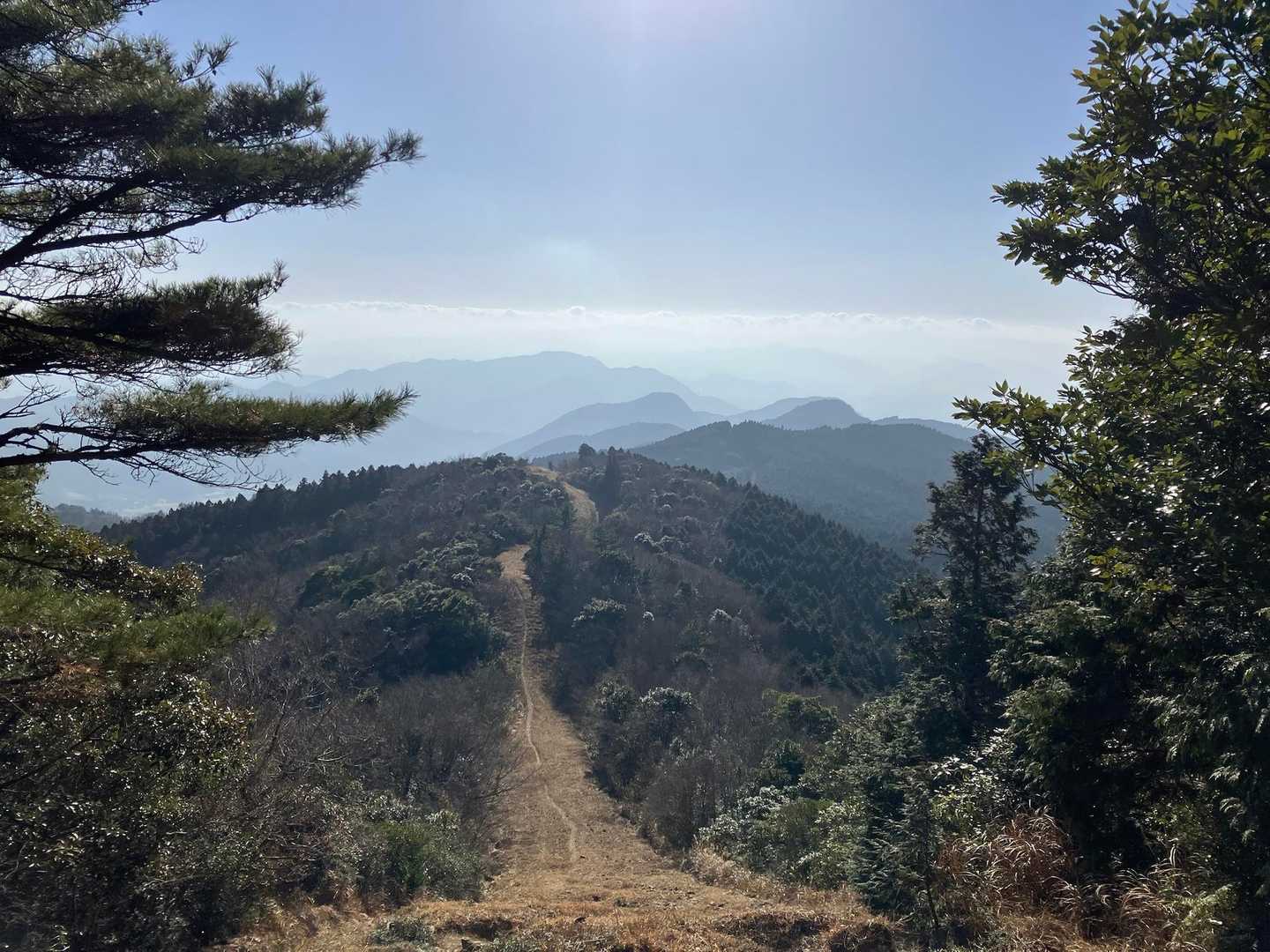 香春10山 金満山・赤牟田ノ辻 / motomickyさんの福智山・尺岳・雲取山の活動データ | YAMAP / ヤマップ