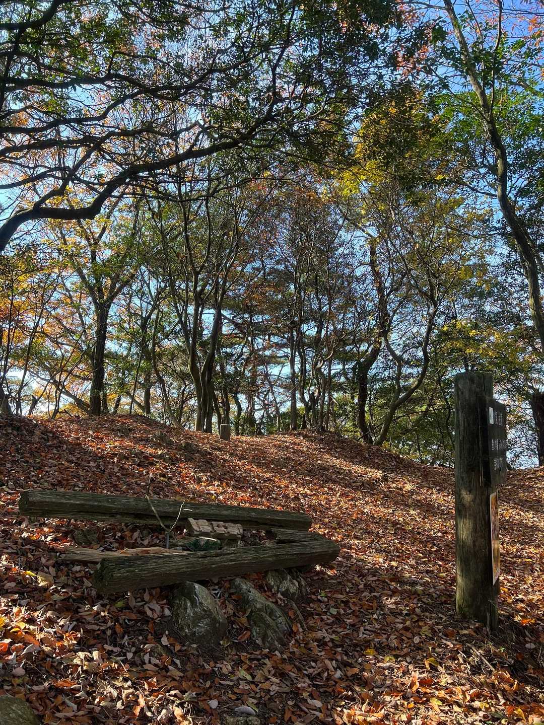 高塚山・牛尾山・音羽山 / Tomo♪さんの音羽山・醍醐山の活動データ | YAMAP / ヤマップ